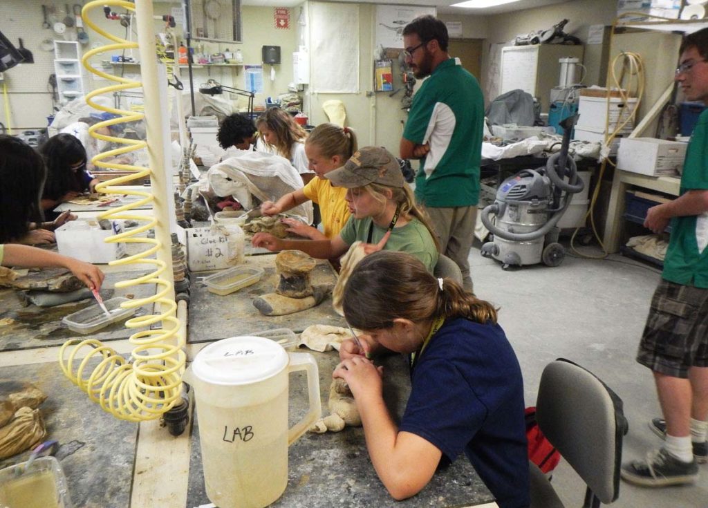 Preparing – Wyoming Dinosaur Center