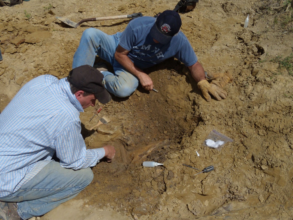 Shovel-Ready Fossil Dig | Wyoming Dinosaur Center