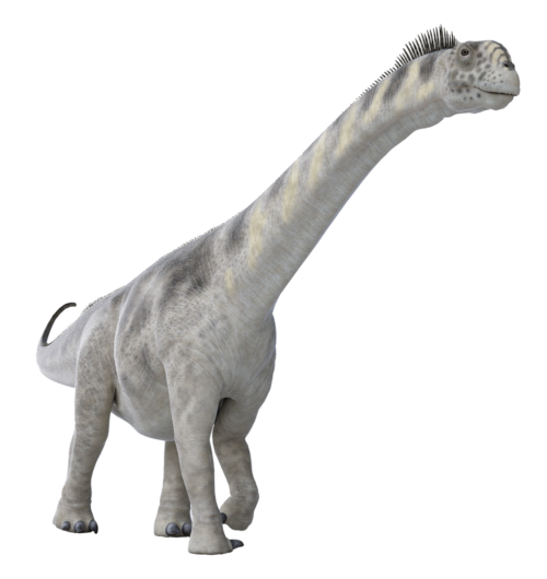 Dinosaur Programs & Fossil Digs | Wyoming Dinosaur Center