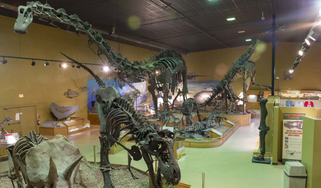 Best Dinosaur Museum In Wyoming Wyoming Dinosaur Center