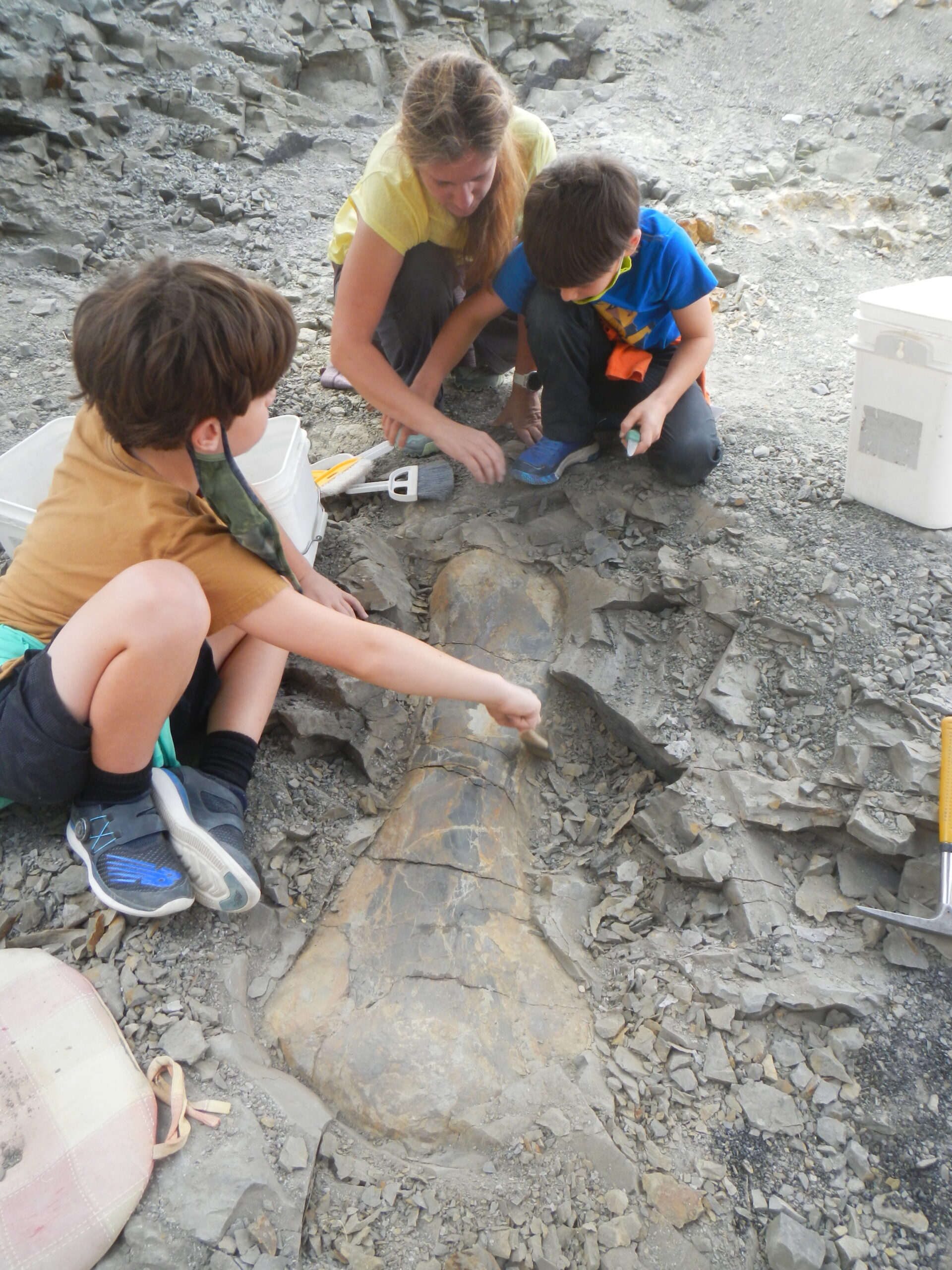 Dig for a Day | Wyoming Dinosaur Center Fossil Dig Site