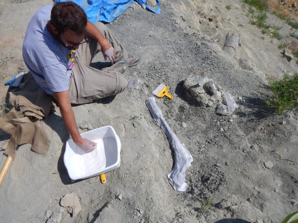 Dig for a Day | Wyoming Dinosaur Center Fossil Dig Site