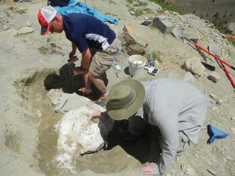 Dig for a Day | Wyoming Dinosaur Center Fossil Dig Site